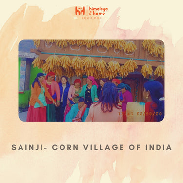 Sainji "The corn village of India" – Himalaya2Home