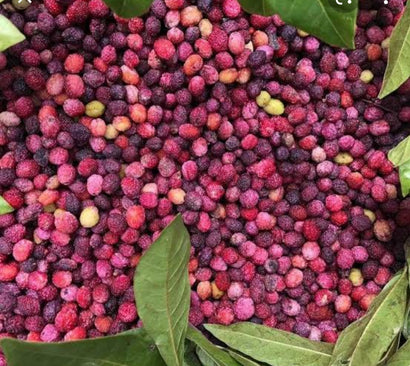 "Kafal" (State fruit of Uttarakhand) – Himalaya2Home